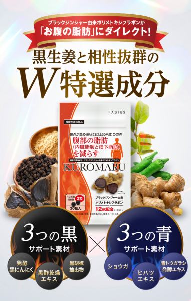 KUROMARU（クロマル）｜FABIUS（ファビウス）公式ファンサイト｜モニプラ ファンブログ